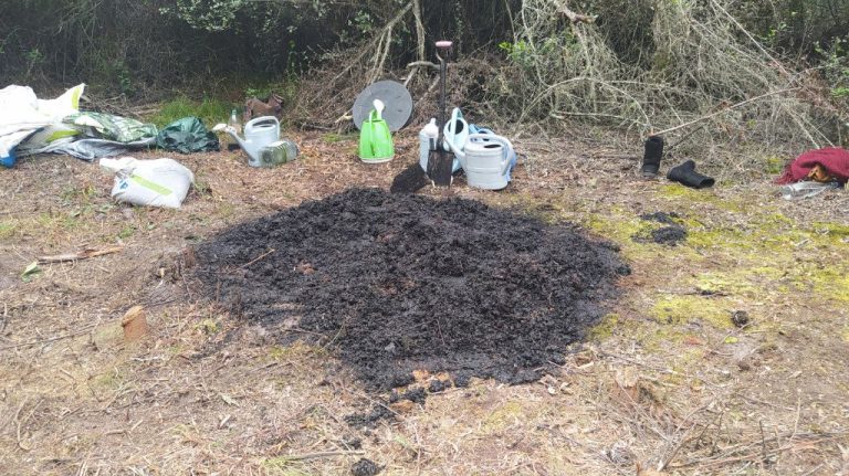 The Benefits of Biochar - Precious Tree Project NPO