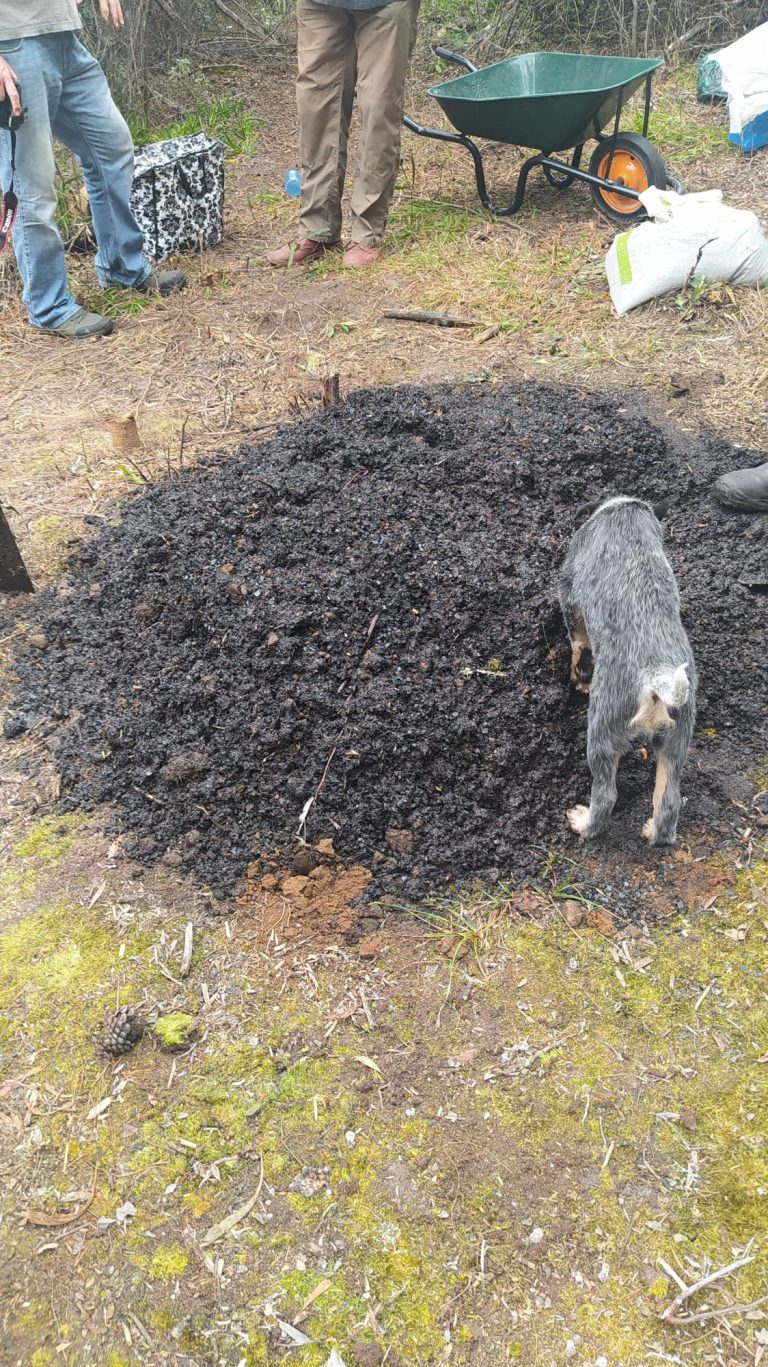 The Benefits of Biochar - Precious Tree Project NPO