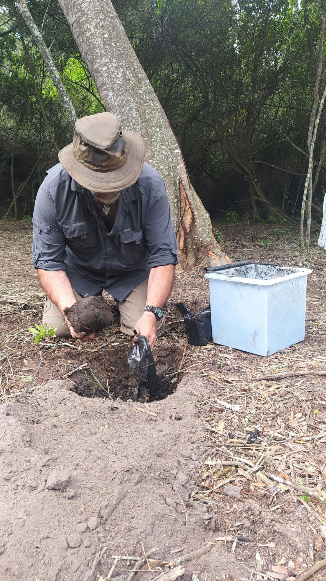 The Benefits of Biochar - Precious Tree Project NPO