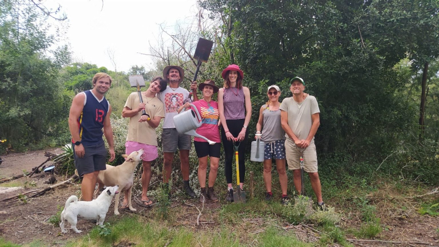 Mini-Forest Magic in the Shamboh WLC - Precious Tree Project